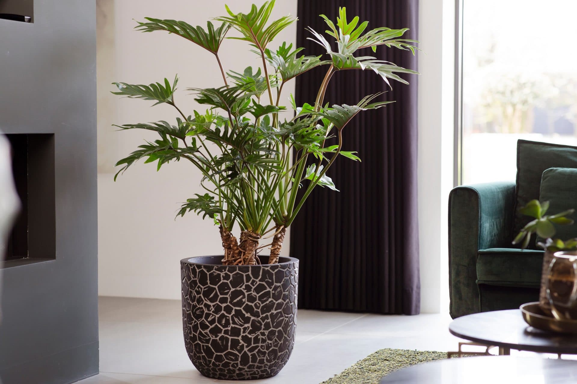 Capi Nature NL Bloempotten - Potonline.nl