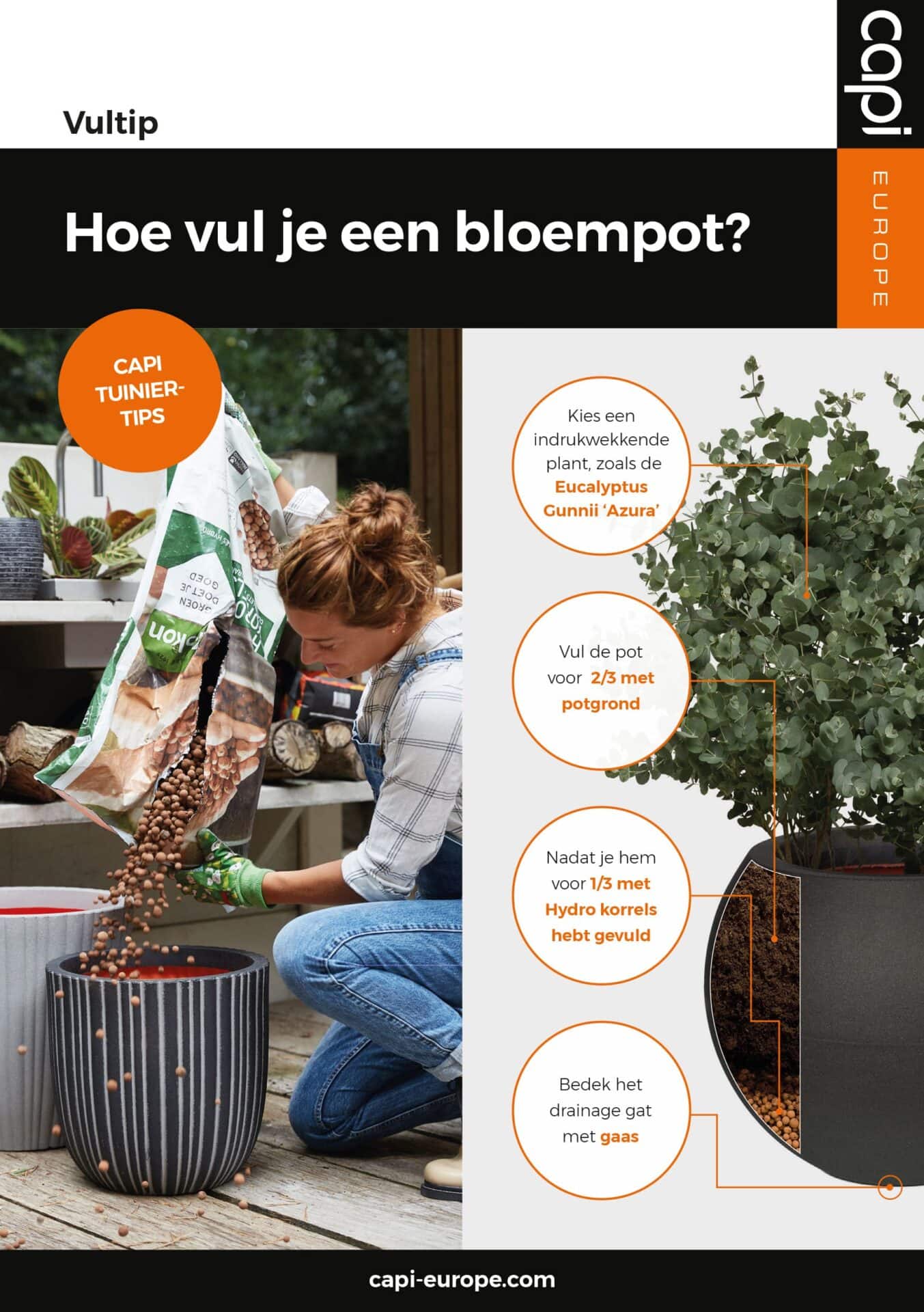 Tips & Tricks - Potonline.nl