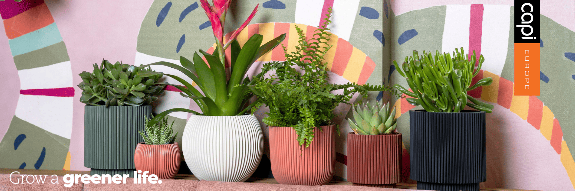 Capi Indoor Bloempotten - Potonline.nl